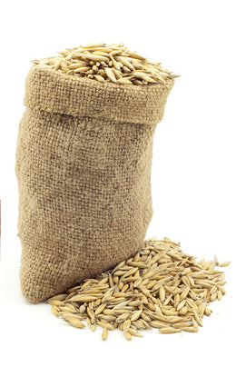 Piskavica Plus u prahu 250g – Matičnjak